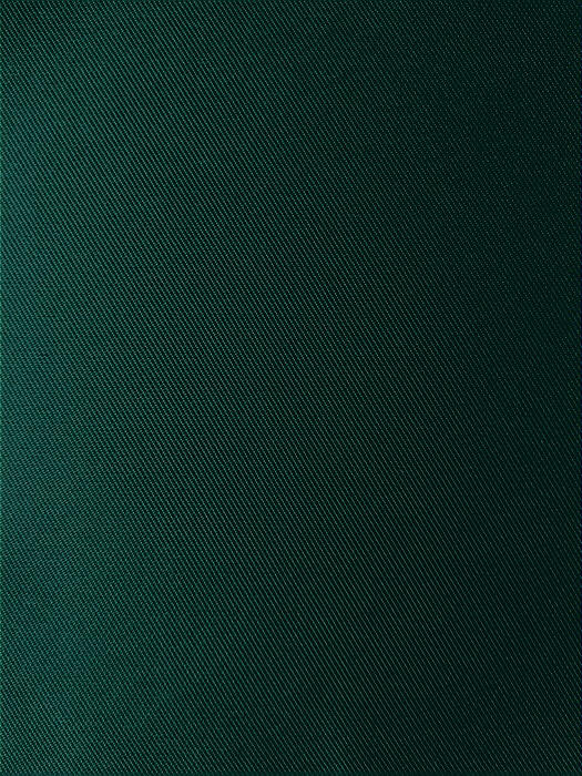 Evergreen Fabric & Swatches | The Dessy Group