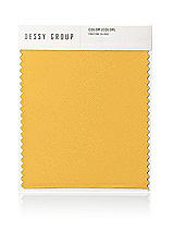 Lux Charmeuse Swatch In Nyc Yellow | The Dessy Group